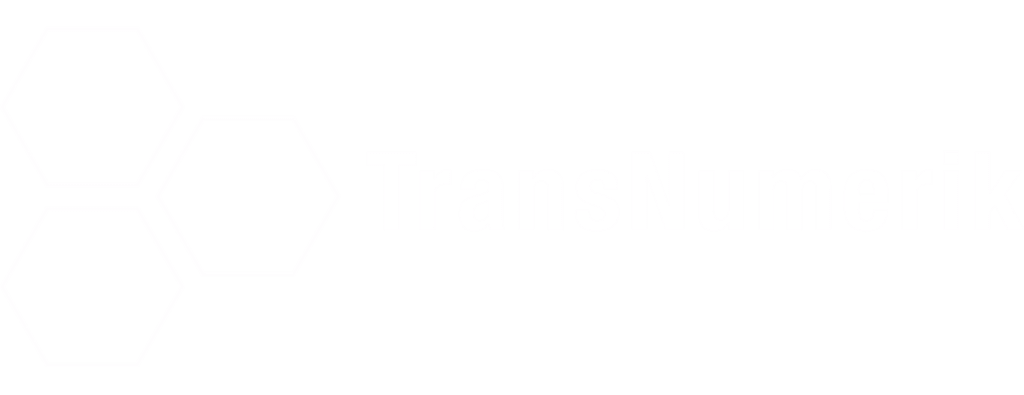 Home - Transnumerik