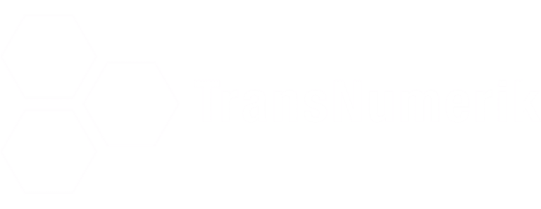 Home - Transnumerik